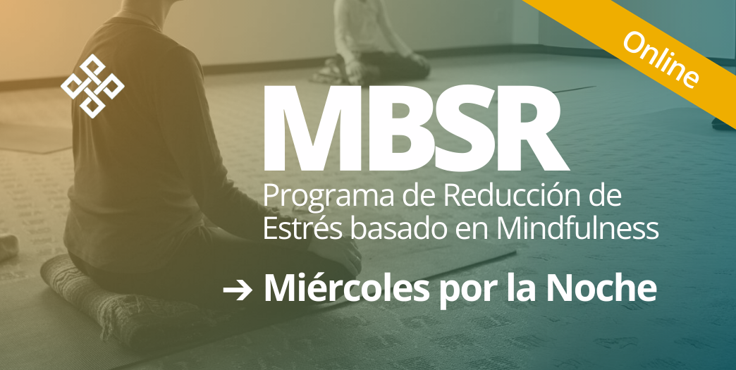 Programa de Reducción de Estrés - 2024-MBSR-11-N-O – Sociedad Mindfulness y Salud